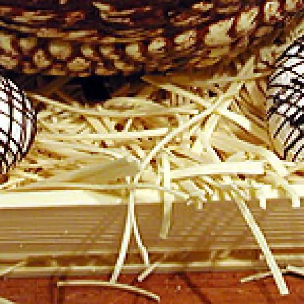 Chocolate Crate and Hay Recipe | Food Network