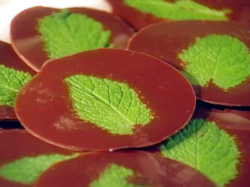 Chocolate-Mint Tiddlywinks Recipe | Food Network