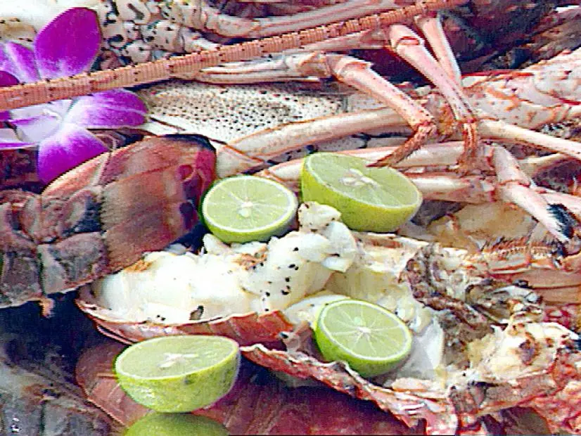 Florida Keys Lobster and Yellowtail Snapper Barbecue with Fresh Mojo ...