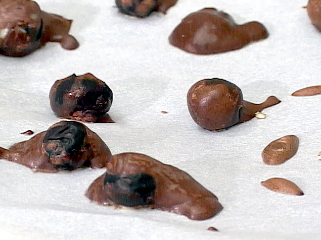 Low Carb "Mock" Raisinettes Recipe - Chef's Resource Recipes