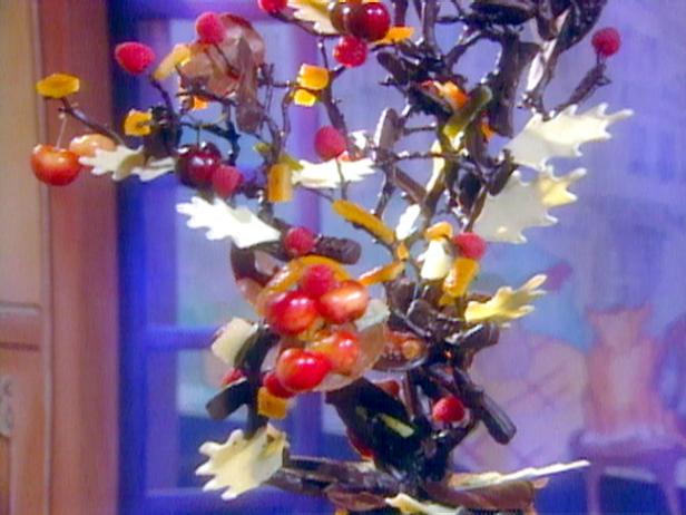 Chocolate Tree Recipe | Food Network