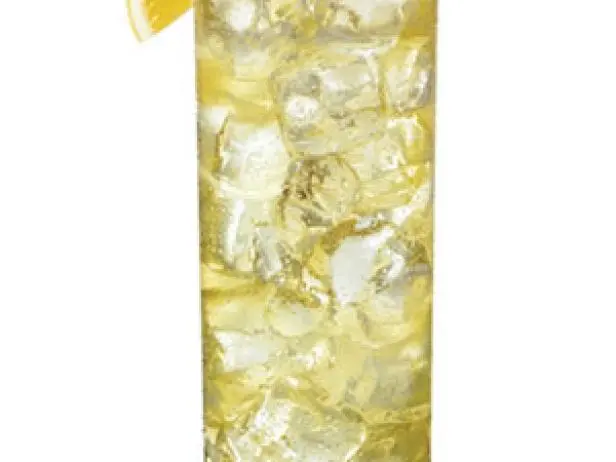 Citrus Lemonade Recipe - Chef's Resource Recipes