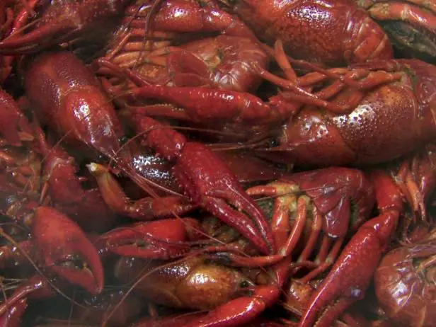 Boiled Crawfish Recipe | Food Network