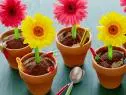 Ice Cream Flower Pot Desserts Recipe - Chef's Resource Recipes