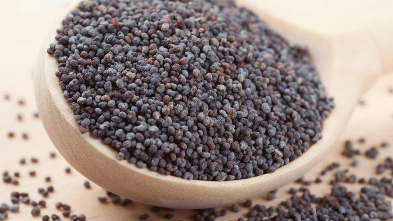 Poppy Seeds Photo The Health Powers Of Poppy Seeds (Who Knew?) | Food