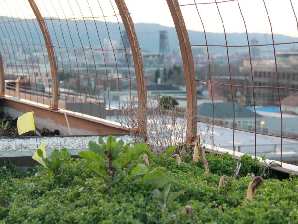 Noble Rot | Restaurants : Food Network | Food Network