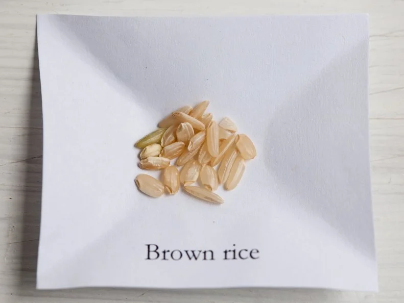 Your Guide to Healthy Whole Grains | Food Network