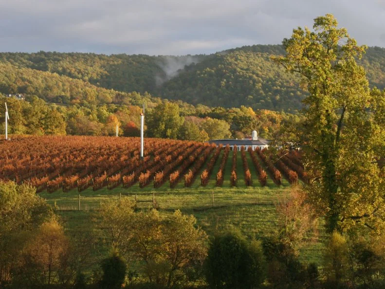 Where to Eat and Drink in Virginia Wine Country | Food Network