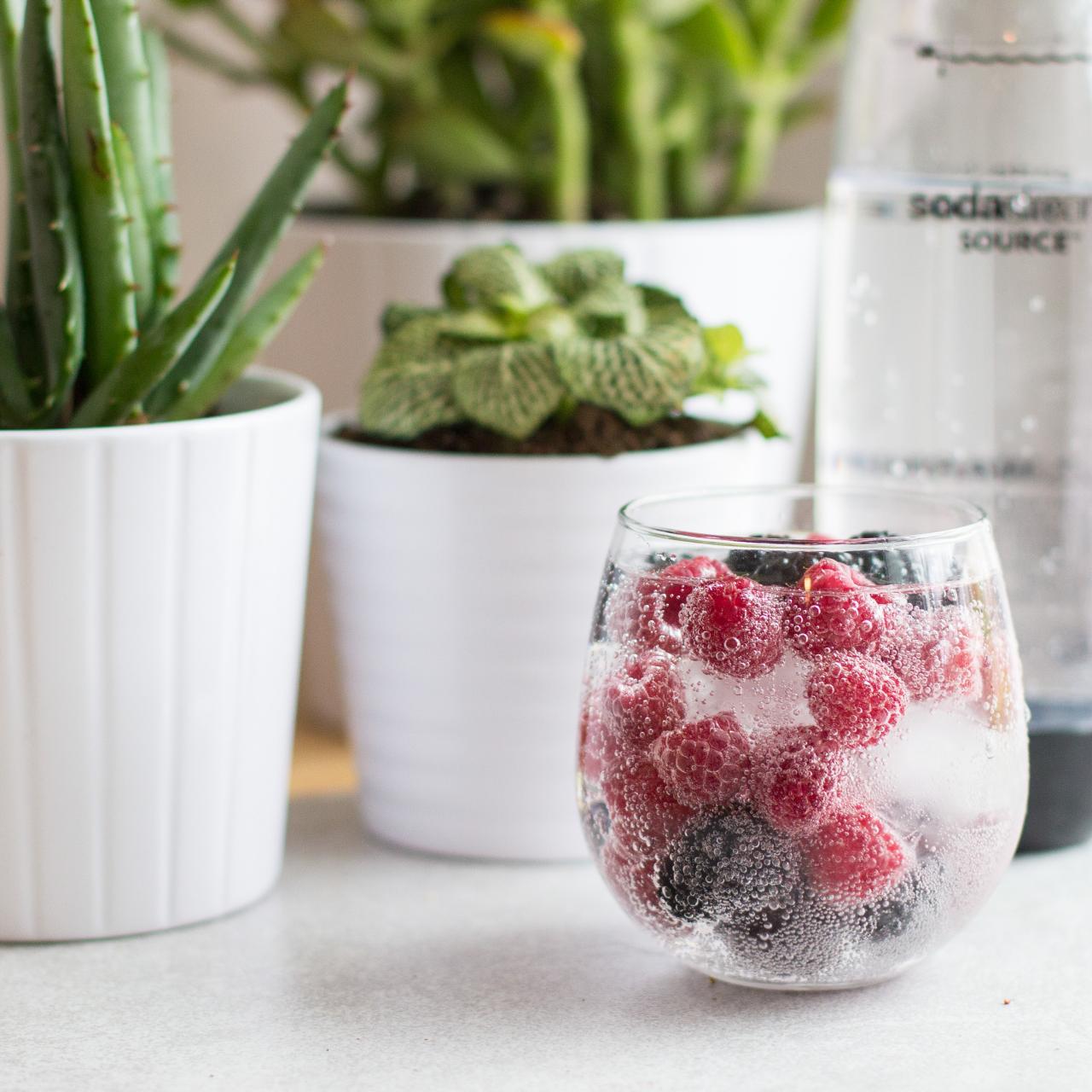 Sodastream Recipes Stevia | Bryont Blog