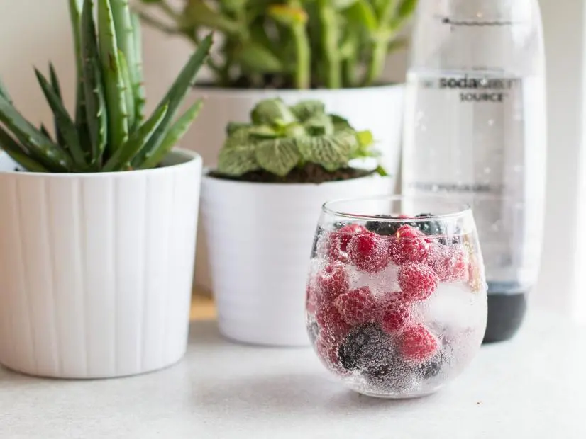SodaStream Zero Cranberry Raspberry Slushy Recipe | Food Network