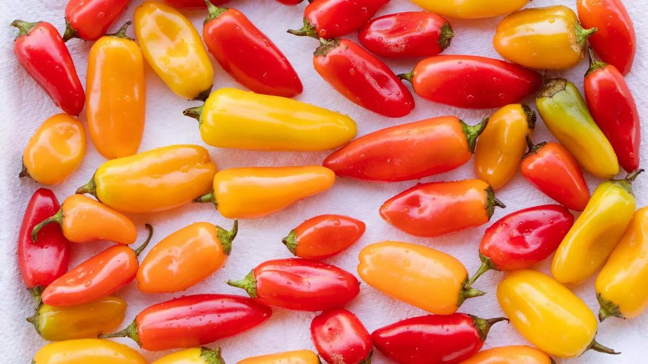 10 Ways to Use Sweet Mini Peppers Food Network Super Bowl Recipes and Food Chicken Wings Dips Nachos Food Network Food Network