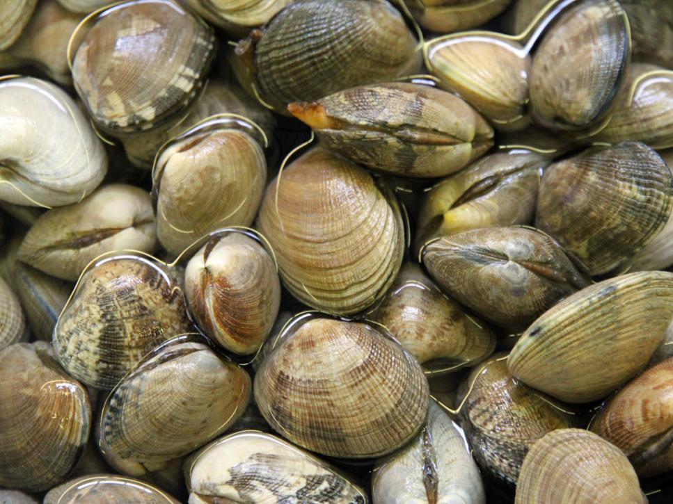 Cooking with the Five Tastes, Chopped Mystery Basket Style | Chopped ...