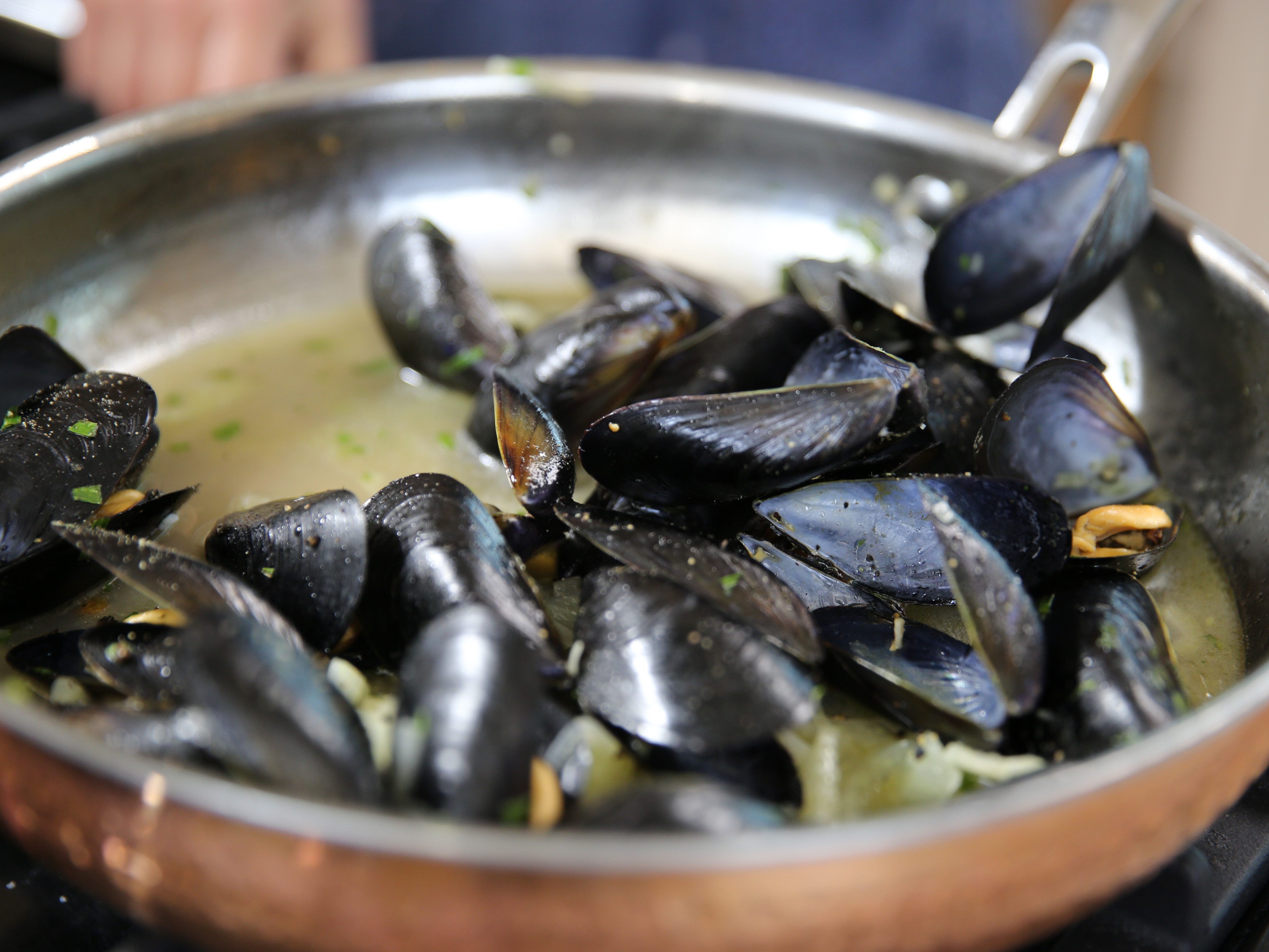 Mussels with Fennel and Italian Beer Recipe - Chef's Resource Recipes
