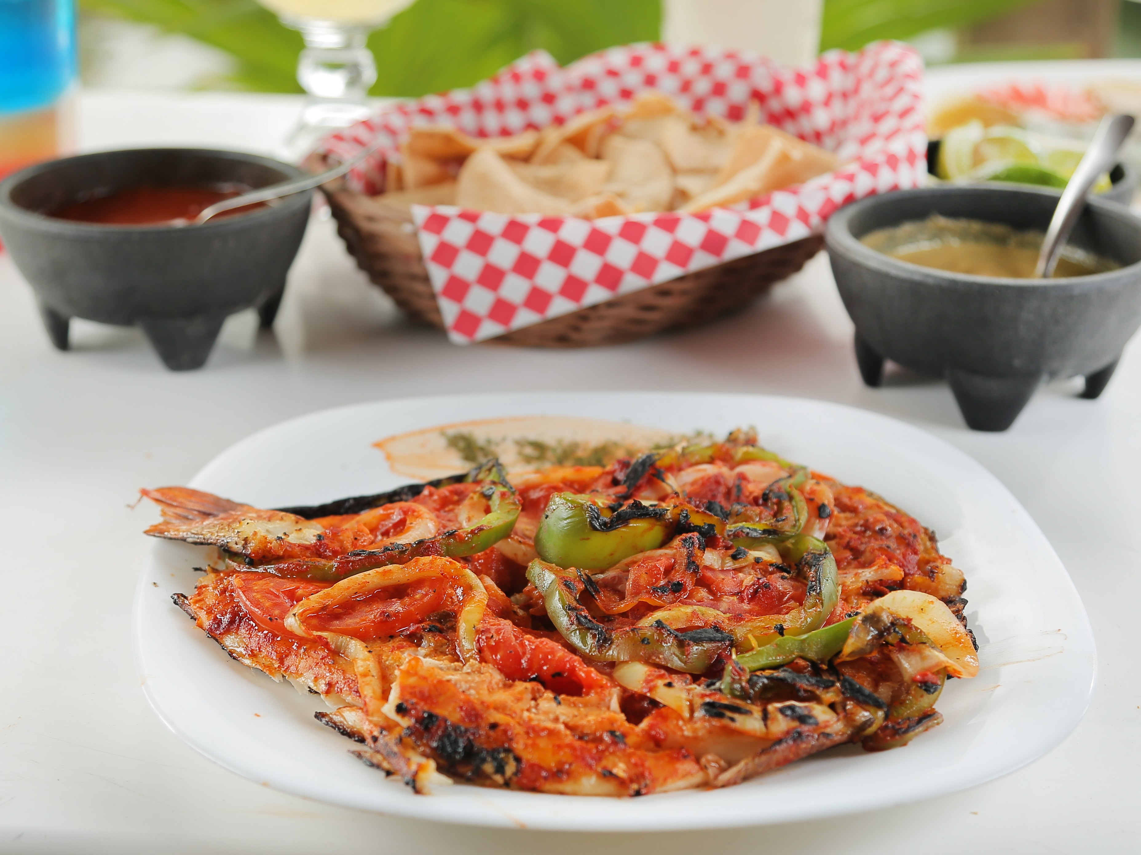 Tikin-Xik Fish Recipe - Chef's Resource Recipes