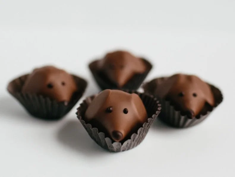 22 Best Chocolate Shops in America | Food Network