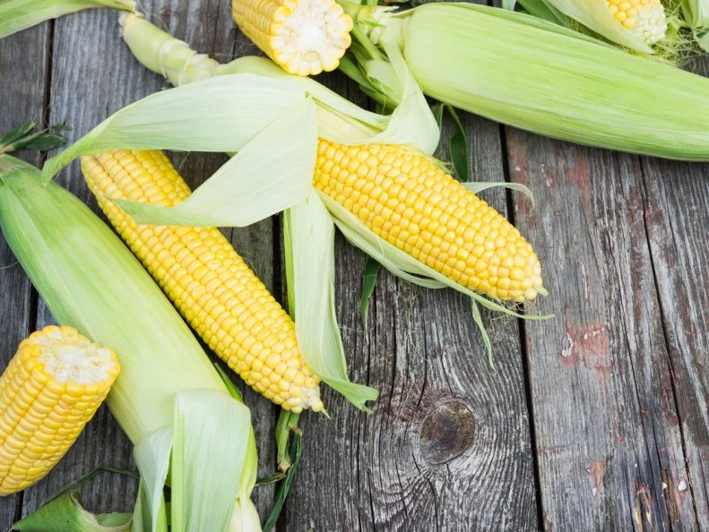 The Best 23 Foods in Nebraska | Food Network