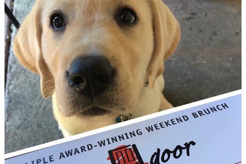 50 States of Dog-Friendly Restaurants | Restaurants : Food Network ...