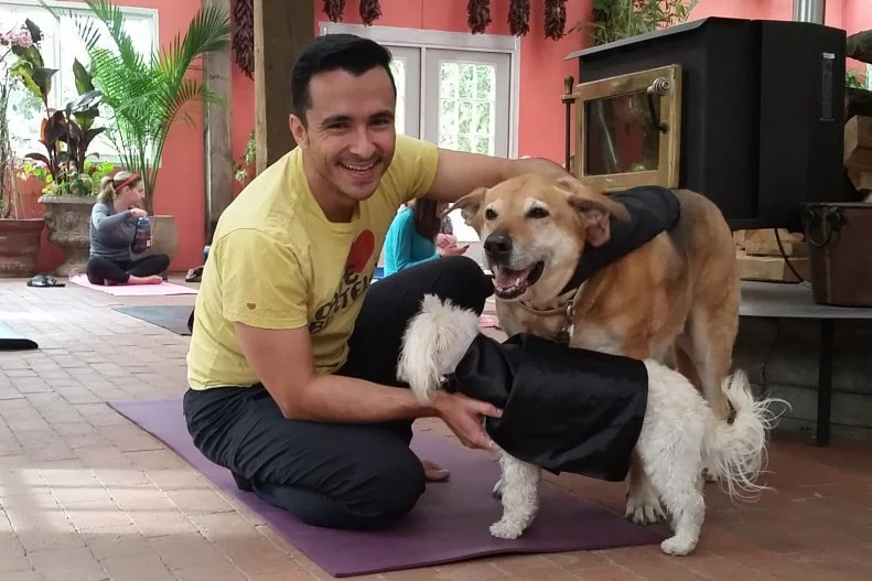 50 States of Dog-Friendly Restaurants | Food Network