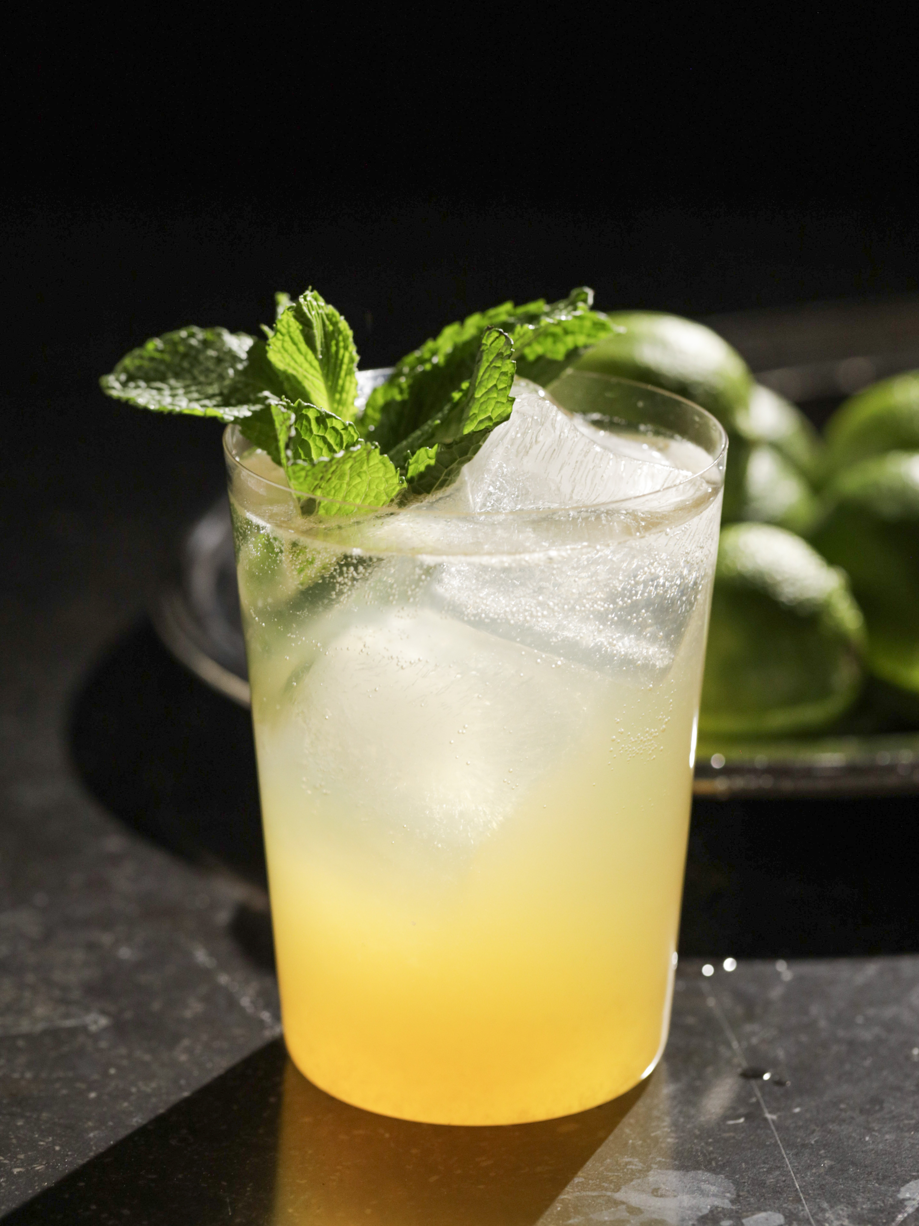 Dark Rum Southsides Recipe – Chef's Resource Recipes