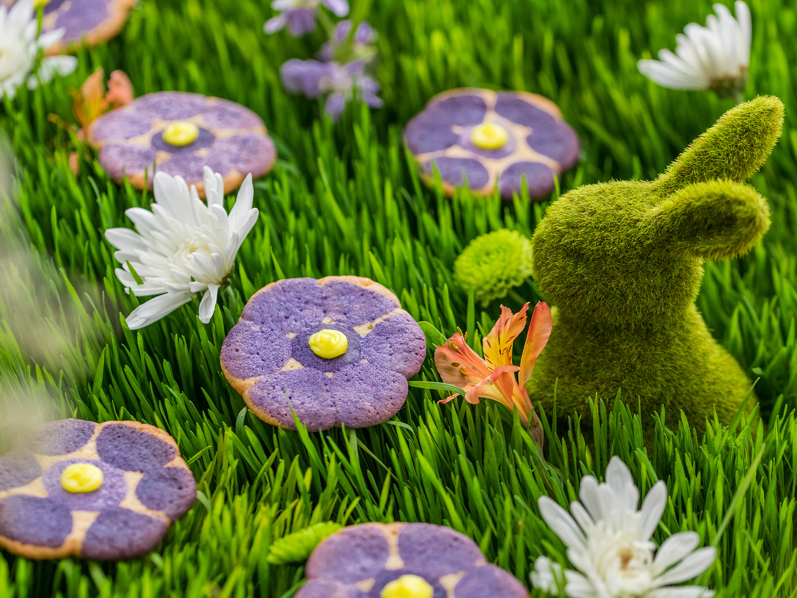Pansy Cookies Recipe - Chef's Resource Recipes