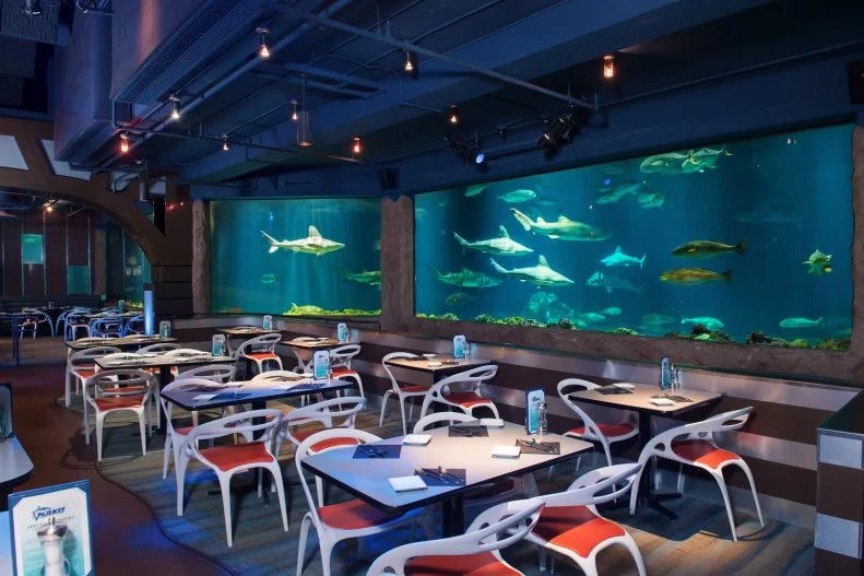 The Best Restaurants at DisneyWorld, Universal Studios Orlando and ...