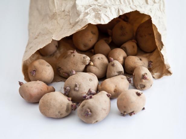 Is It Safe to Eat Sprouted Potatoes? | Help Around the Kitchen : Food ...