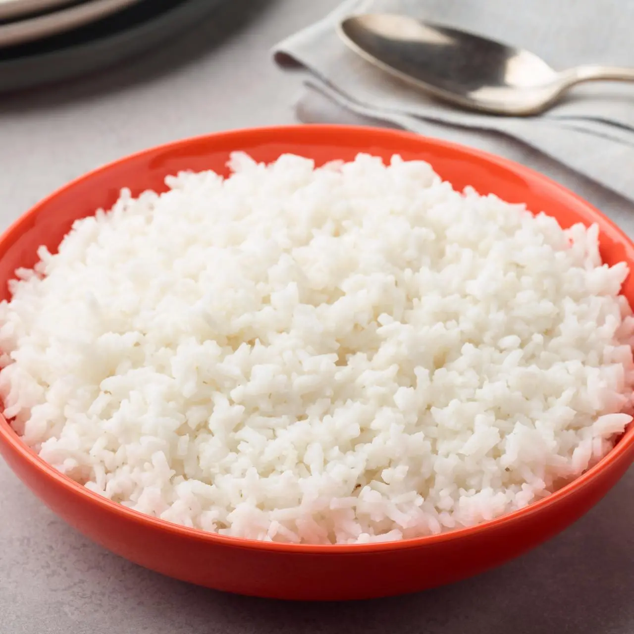 What Is Plain Rice Menu Explain