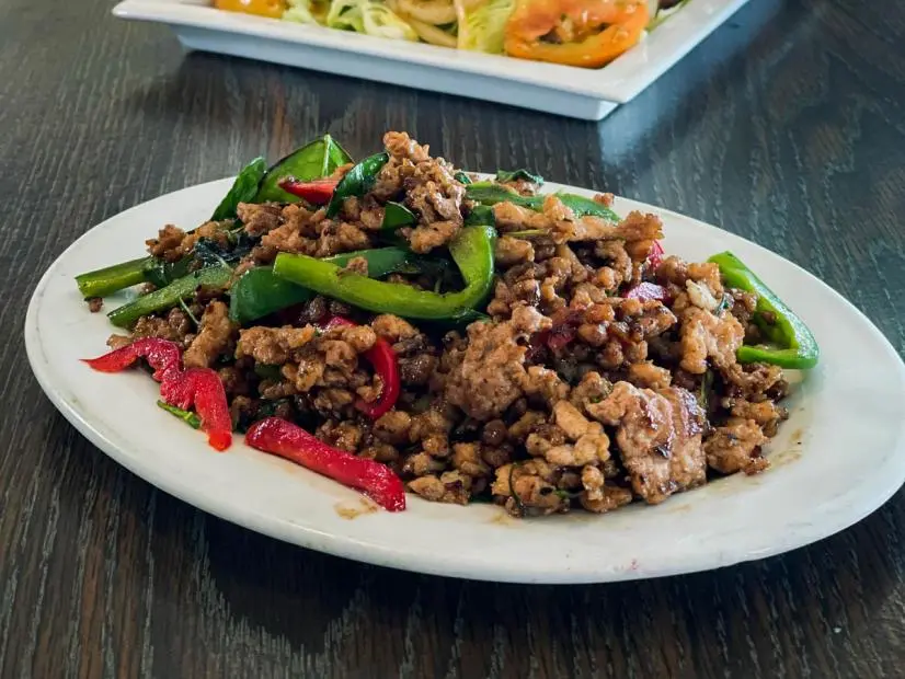 Spicy Mint Chicken Recipe - Chef's Resource Recipes