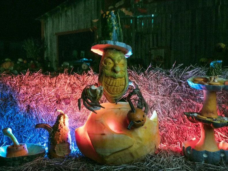 The Craziest Creations From Outrageous Pumpkins, Season 2 | Food Network