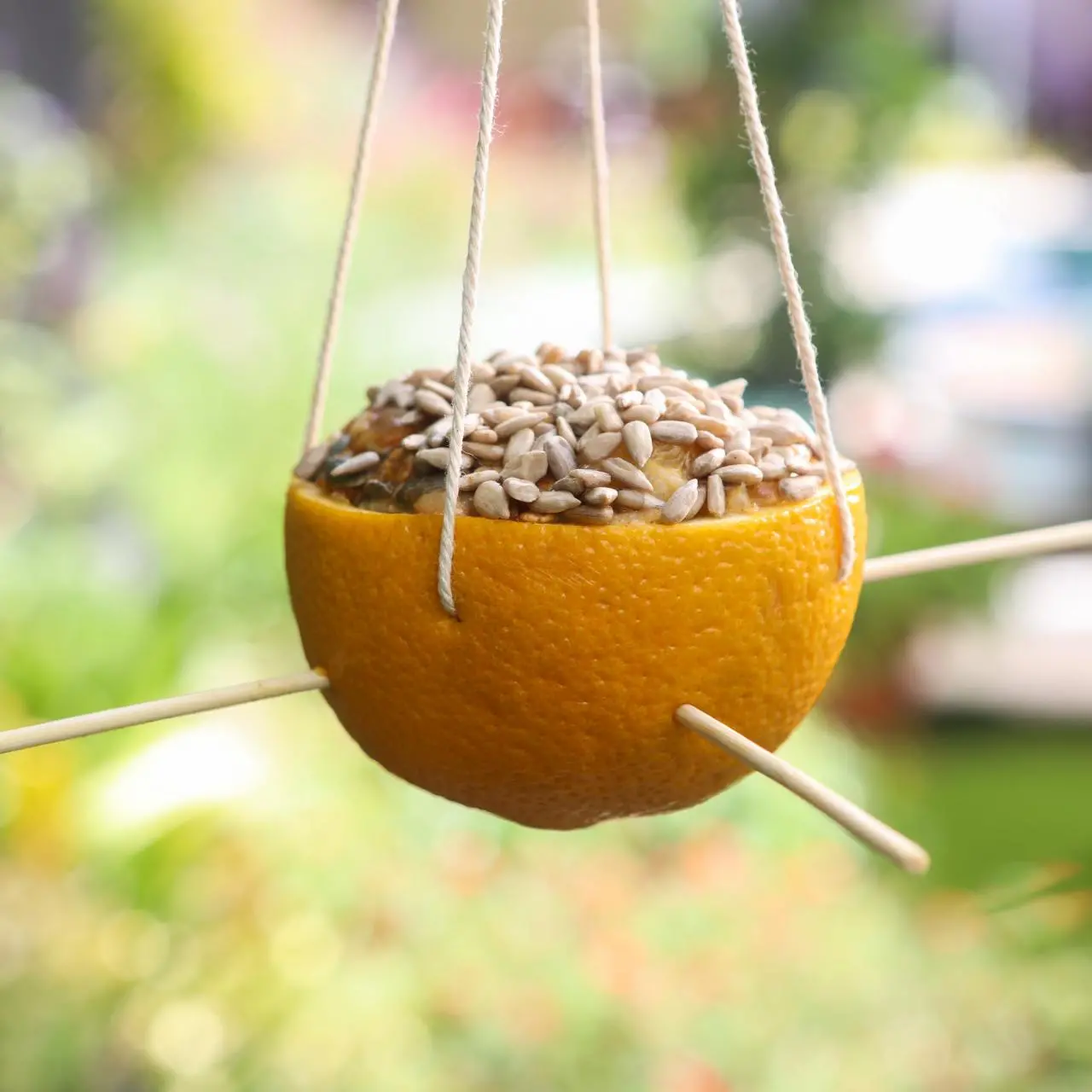 Homemade Bird Feeders How To Make A Homemade Gourd Bird Feeder Homemade Bird Feeders How To Make A Homemade Gourd Bird Feeder