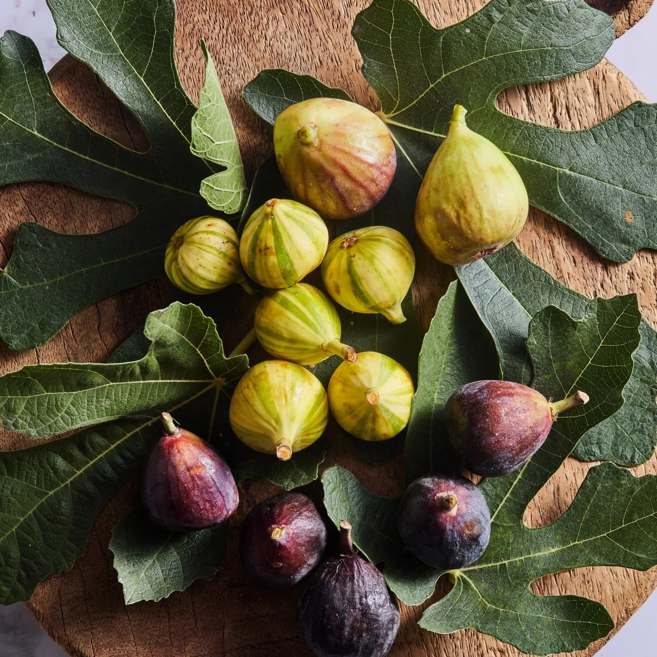 Types Of Fig Trees