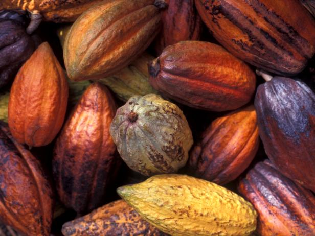 What's Cacao? | Cooking School | Food Network