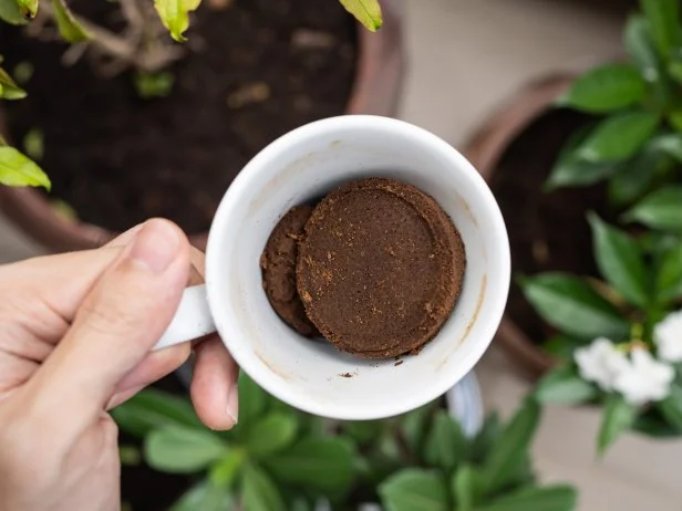 Simple Garden Fertilizers You Can Make at Home | Food Network
