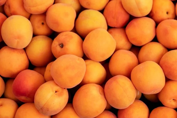 In Season: Apricots | Everything to Know about Apricots | Food Network