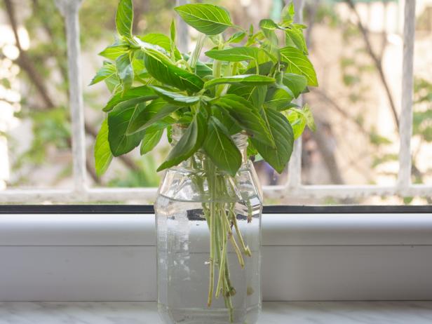 In Season: Basil | Everything to Know about Basil | Cooking School ...