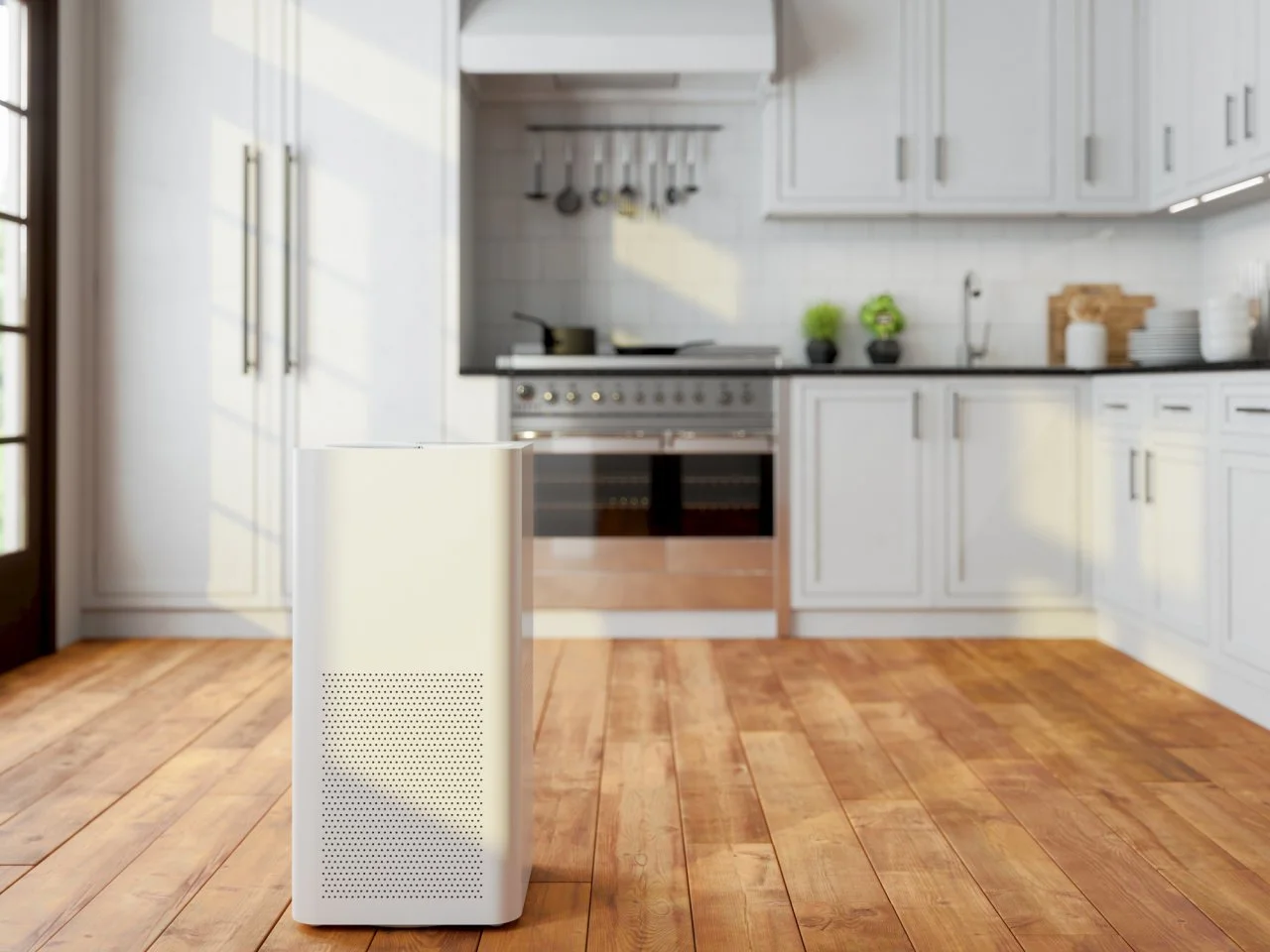 Air purifier for kitchen cooking store