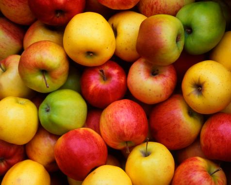 Fall Apple Types