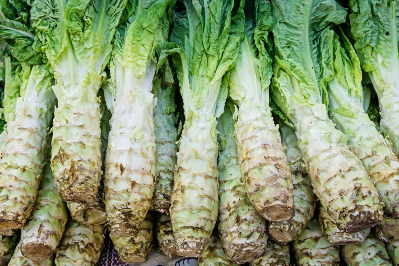 What Is Celtuce | Cooking School | Food Network
