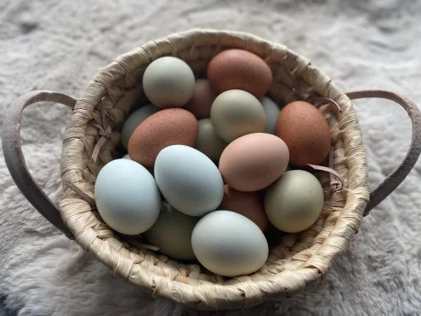 white eggs