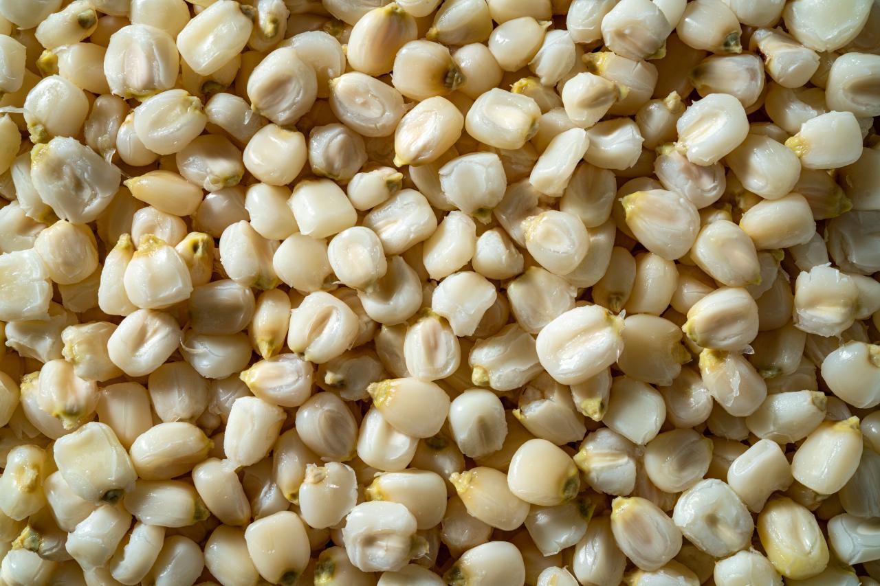 What Is Masa? | Cooking School | Food Network