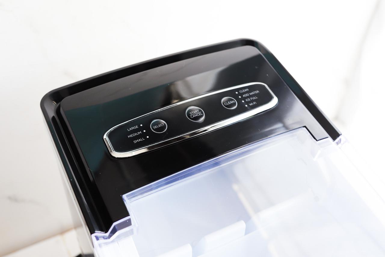 6 Best Countertop Ice Makers 2024 Reviewed | Shopping | Food Network