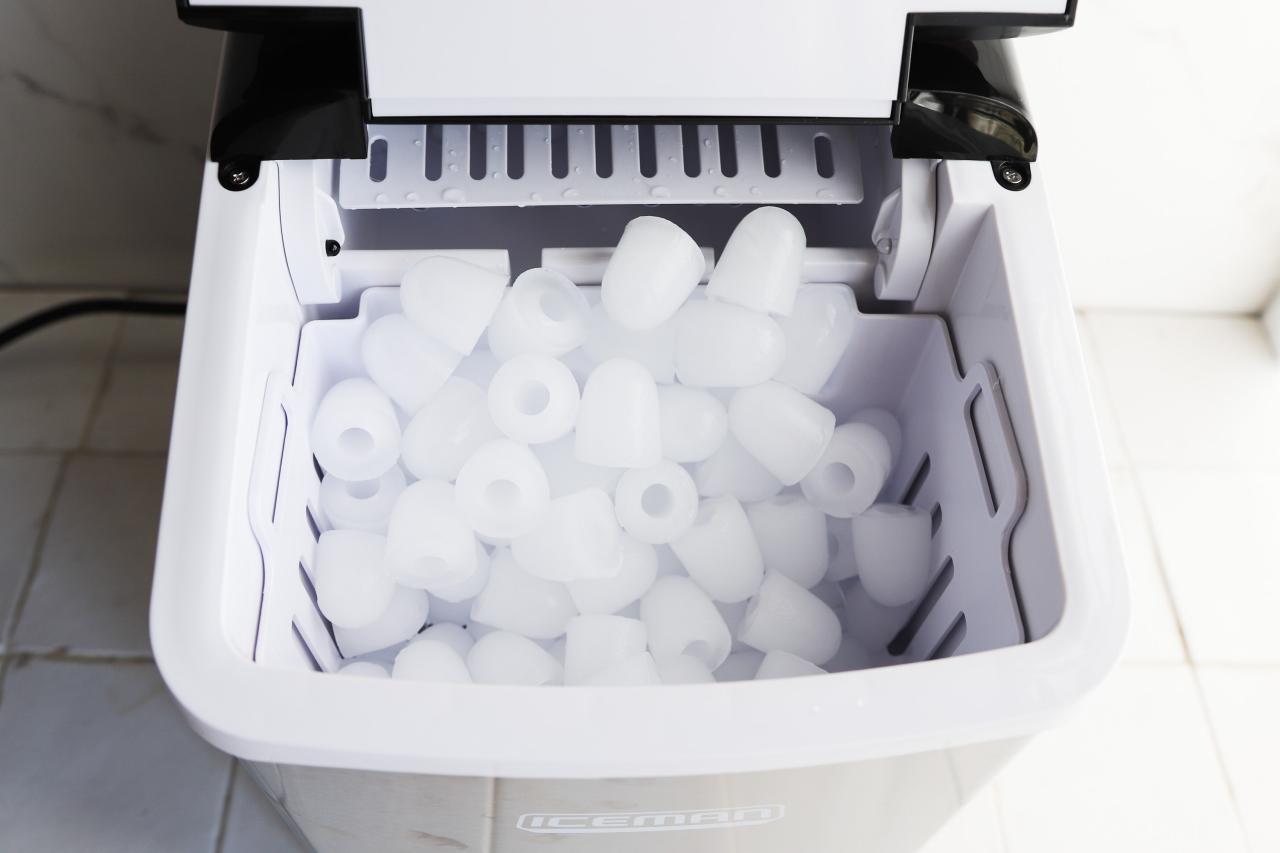 6 Best Countertop Ice Makers 2024 Reviewed | Shopping | Food Network