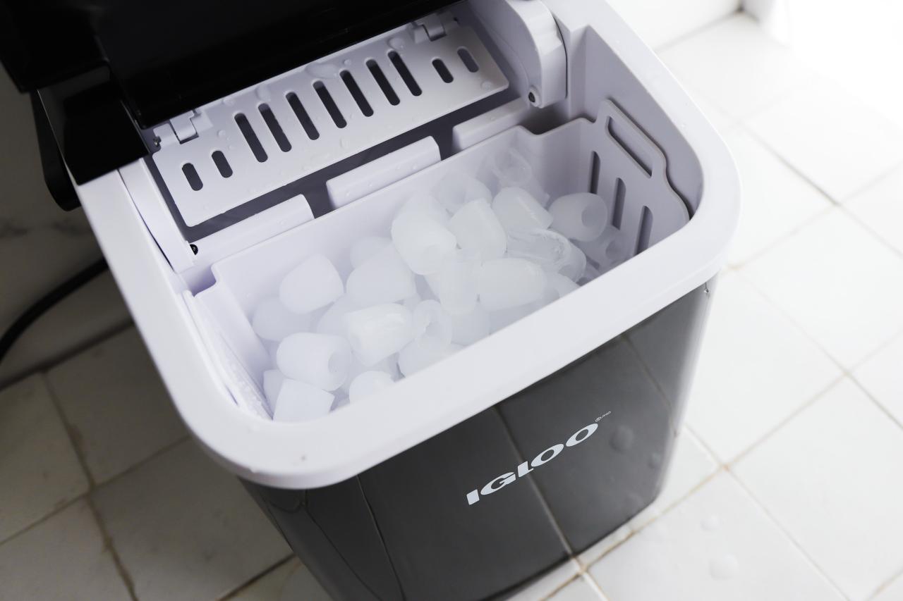 6 Best Countertop Ice Makers 2024 Reviewed | Shopping | Food Network