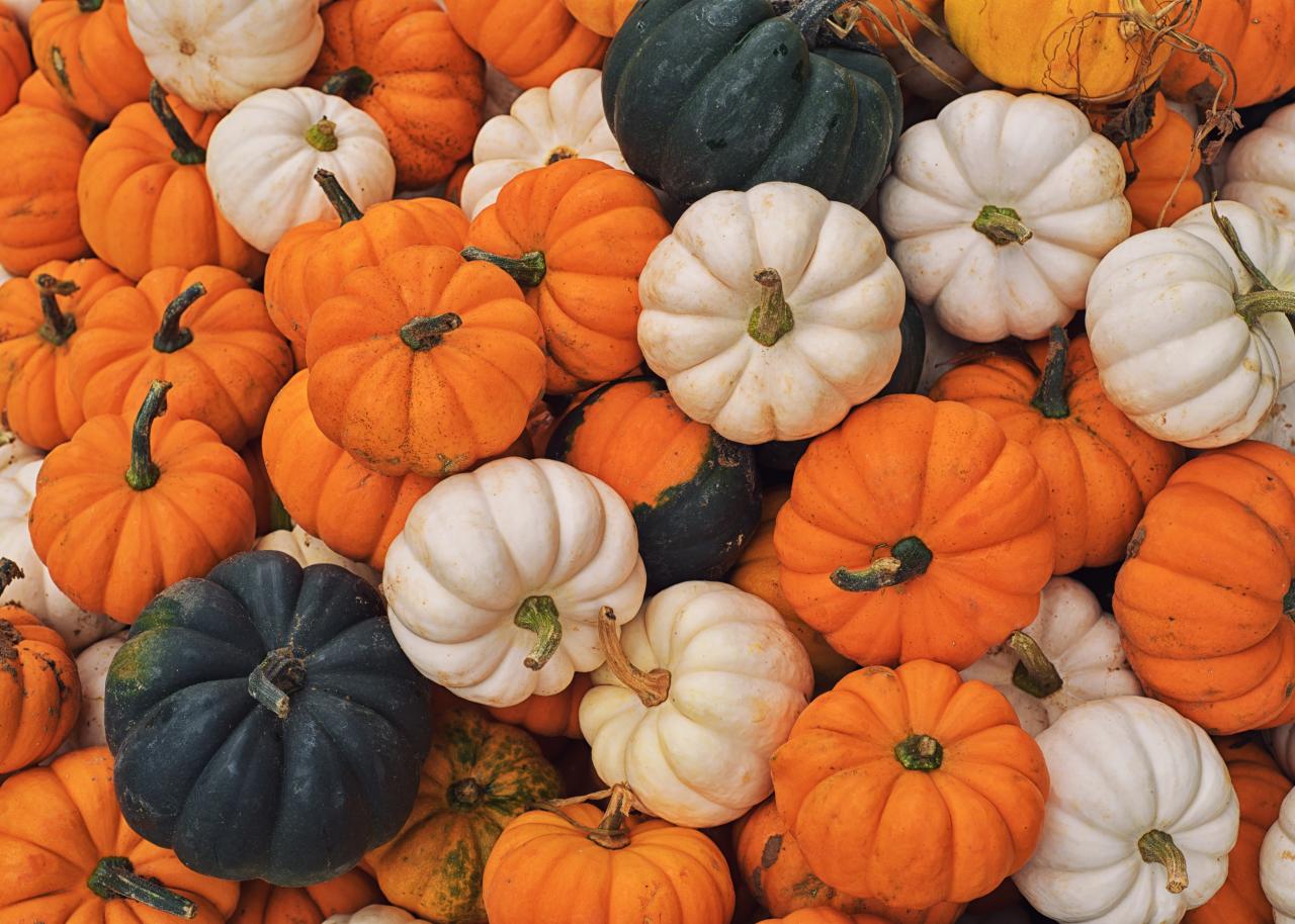 Is Pumpkin a Fruit? | Cooking School | Food Network