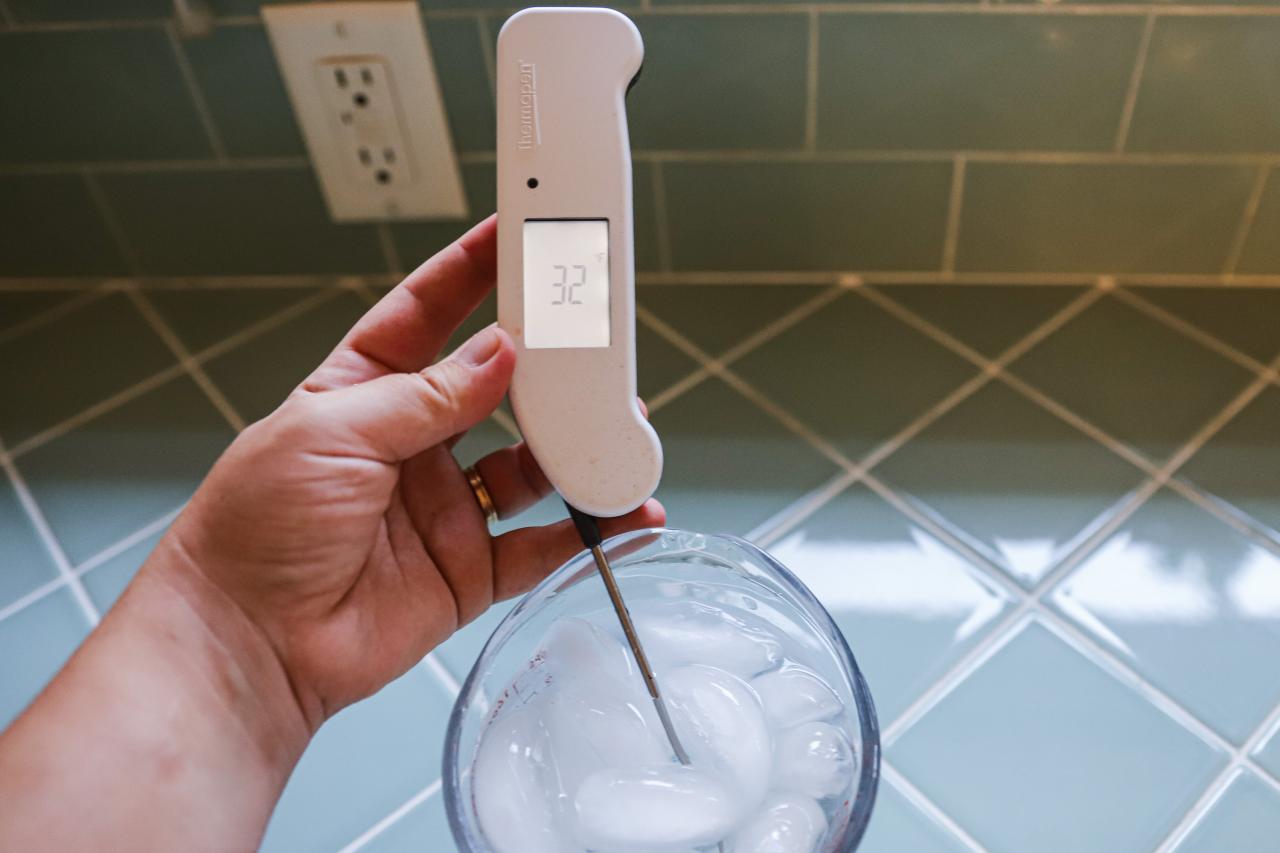 ThermoWorks Thermapen ONE Thermometer Review 2024 | Shopping | Food Network