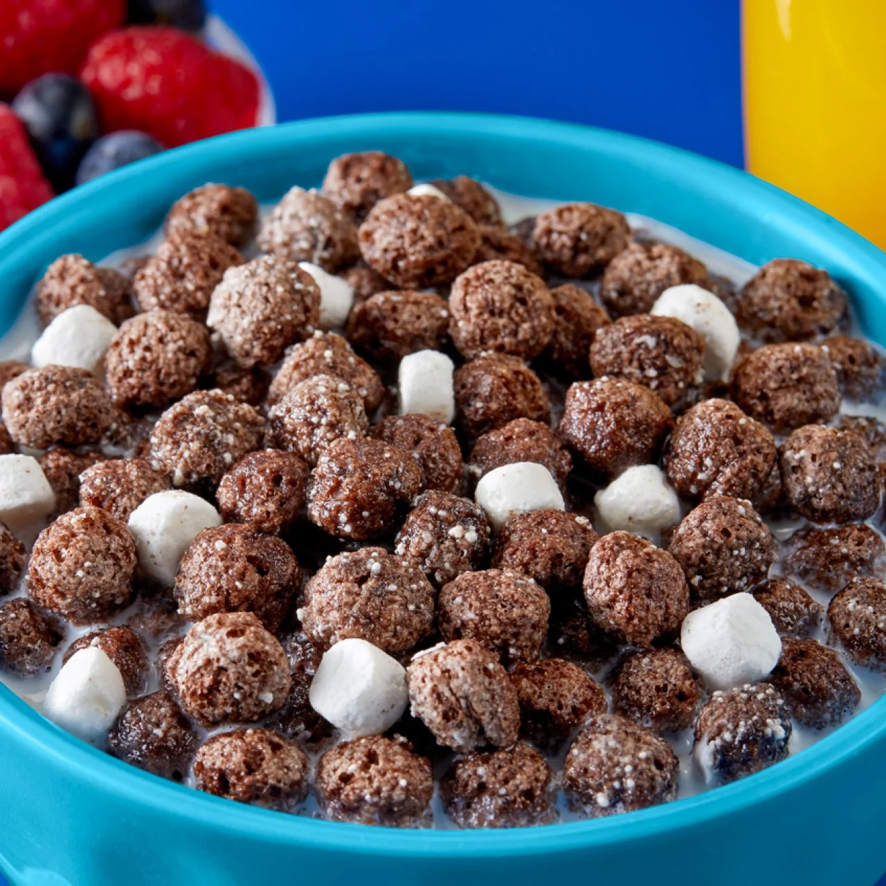 Oreo Cereal Seems Legit