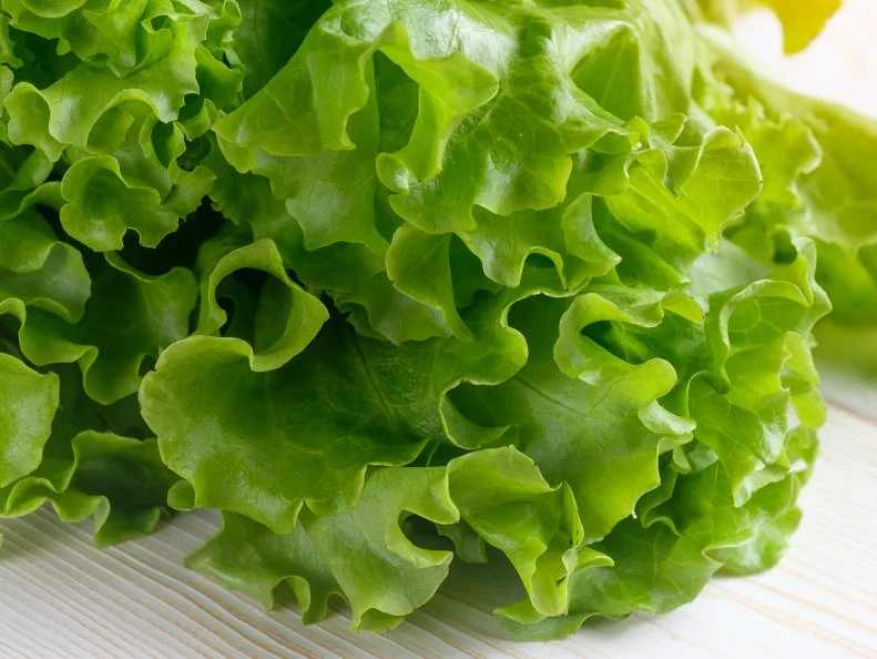 15 Types of Lettuce To Shake Up Your Salad Routine | Food Network