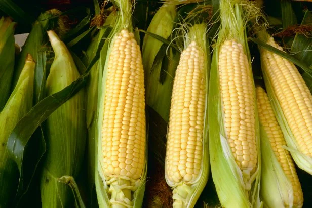 How to Shuck Corn: The Best Way to Husk Quickly and Cleanly | Food Network