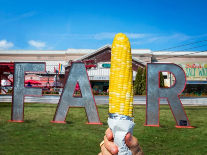 The Best Fair Food in All 50 States | Food Network