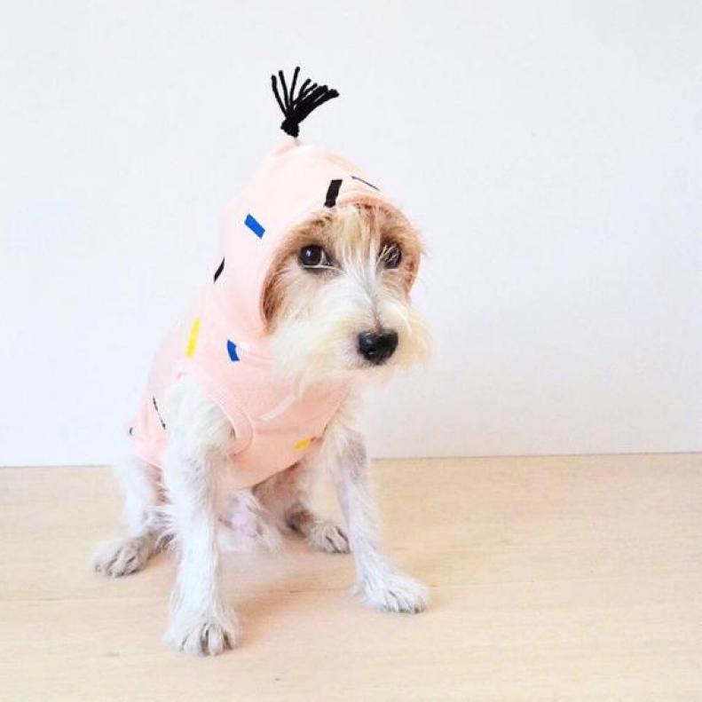 How to Throw The Best Pet Party : Food Network | Food Network